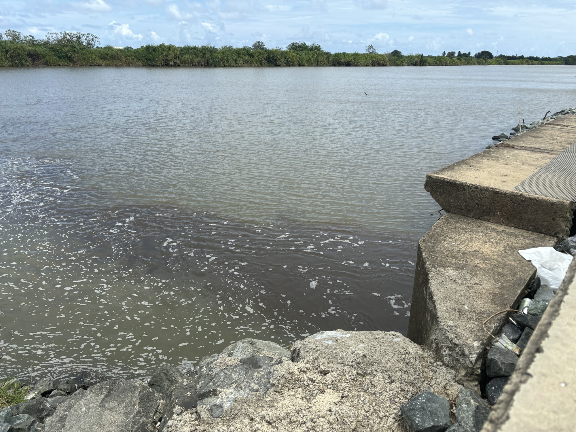 Una Foto habla por sí sola: contaminación en el Río Grande de Loíza ...