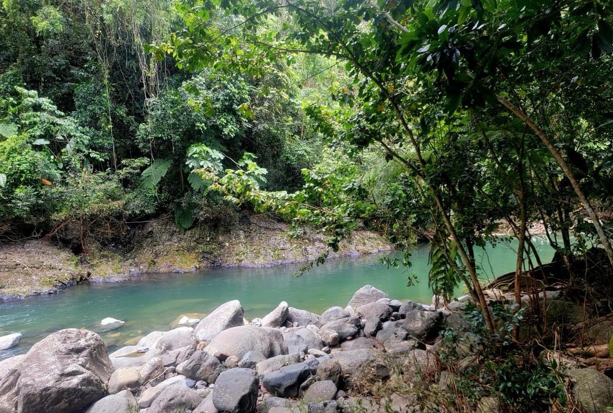Ya puede visitar El Yunque – Prensa sin censura