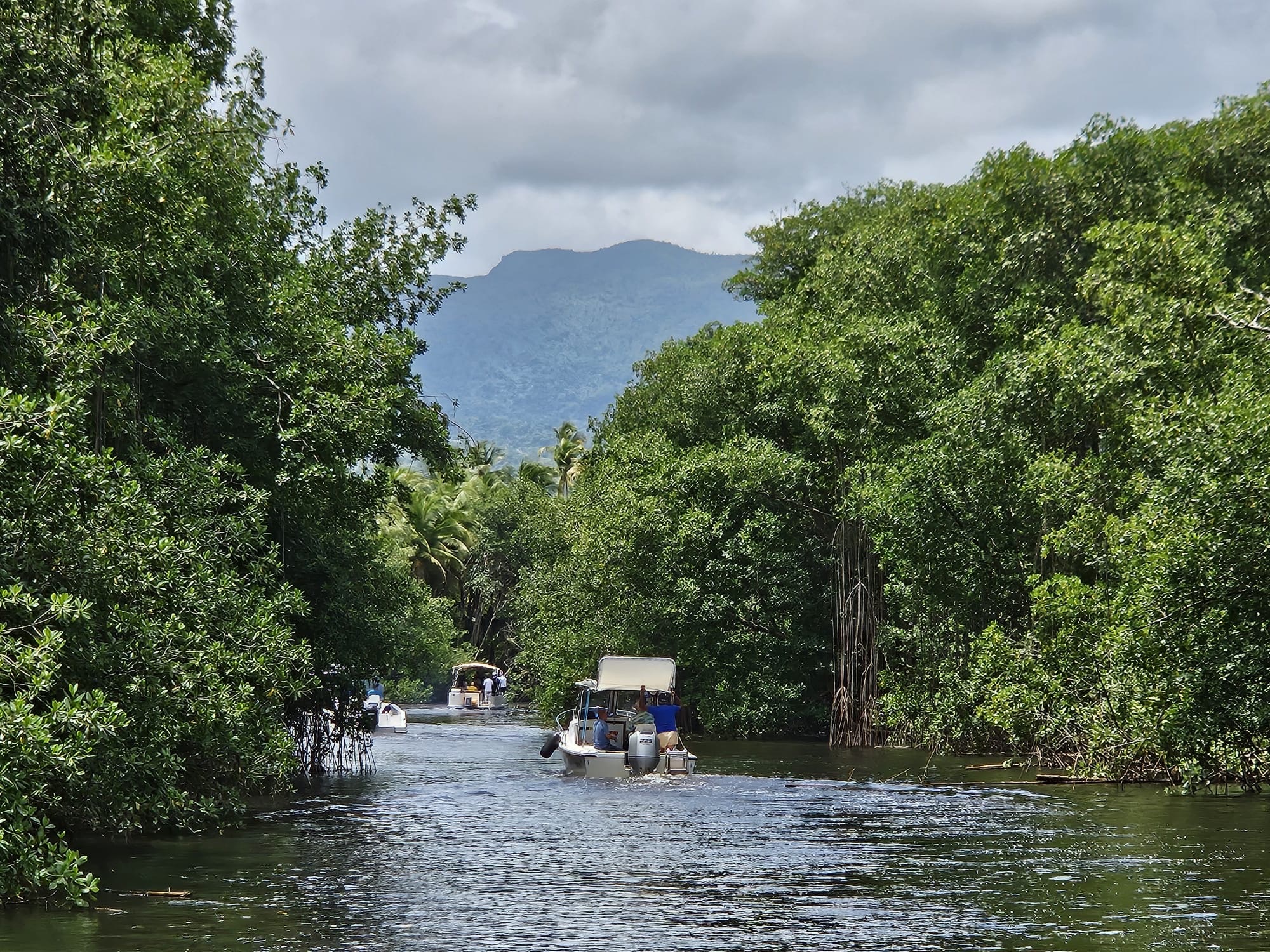 Contundente informe de senador Vargas Vidot sobre Villa Pesquera y Río ...