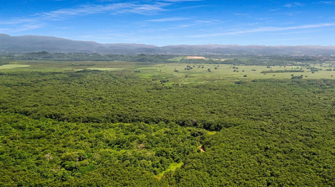 Escalofriante revelación sobre la usurpación de tierras en Puerto Rico ...