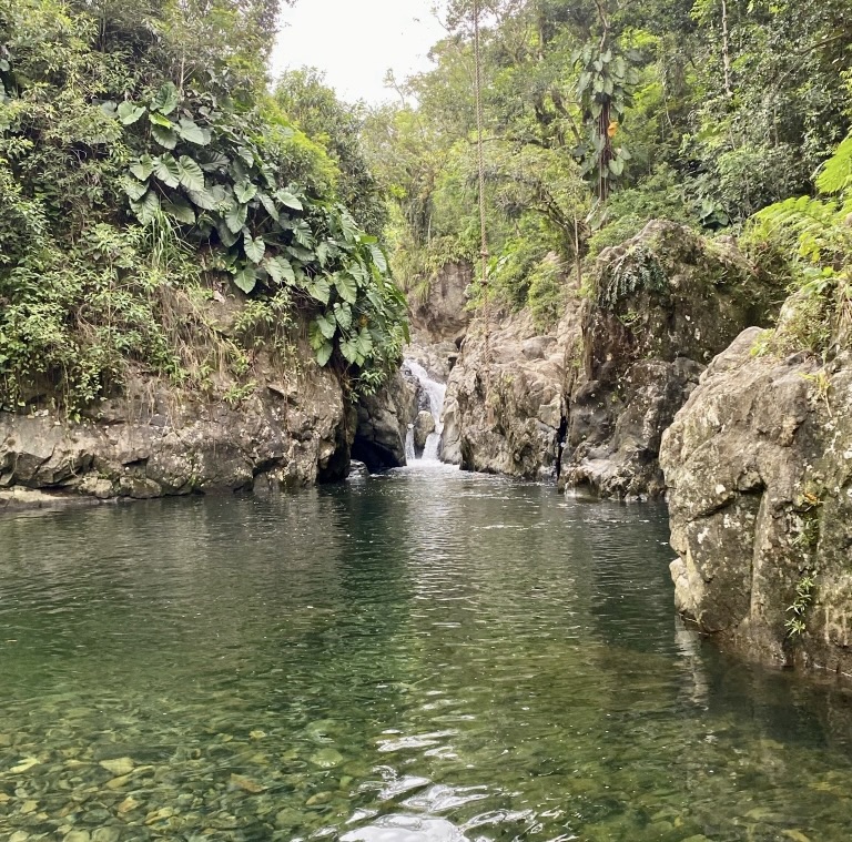 Mujer, descendiente taína, sale victoriosa en su lucha por las tierras ...