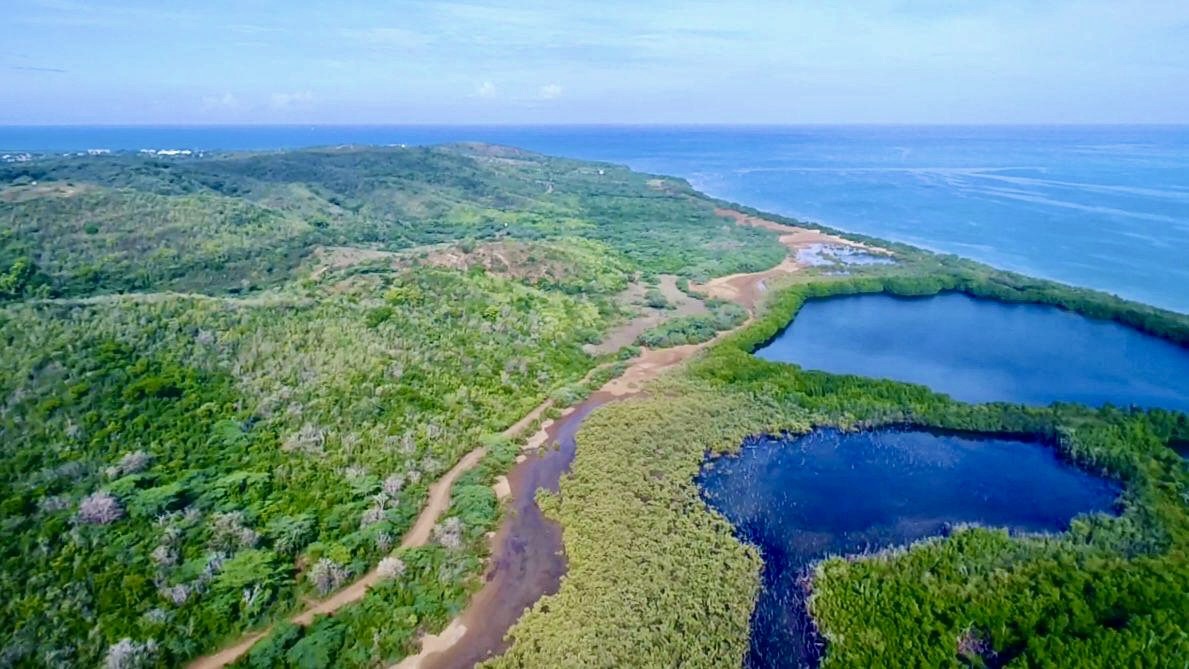 Razones para no aprobar el Proyecto Esencia – Prensa sin censura