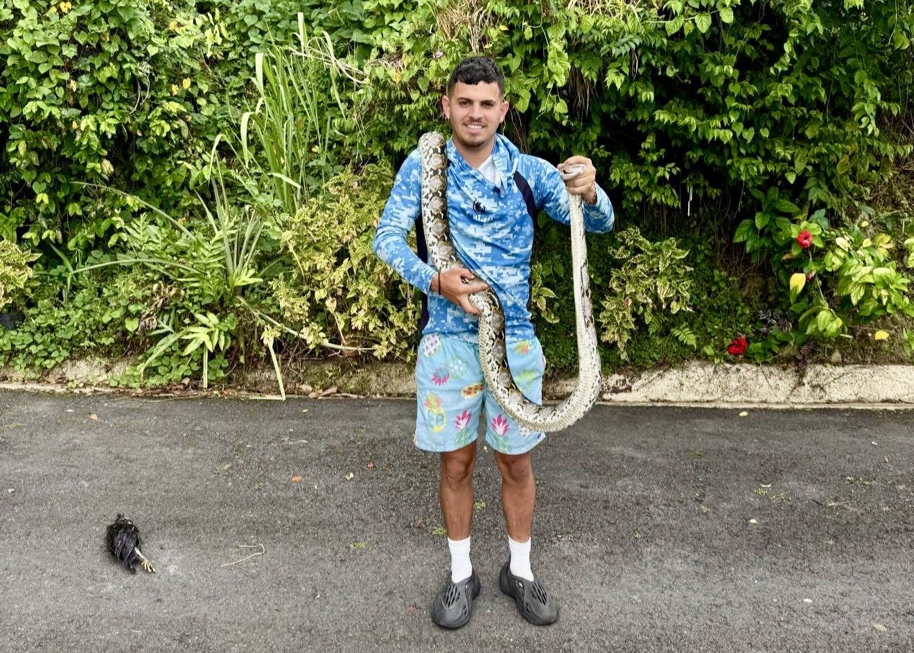 ¿Qué hace Gongo con las serpientes que captura? – Prensa sin censura