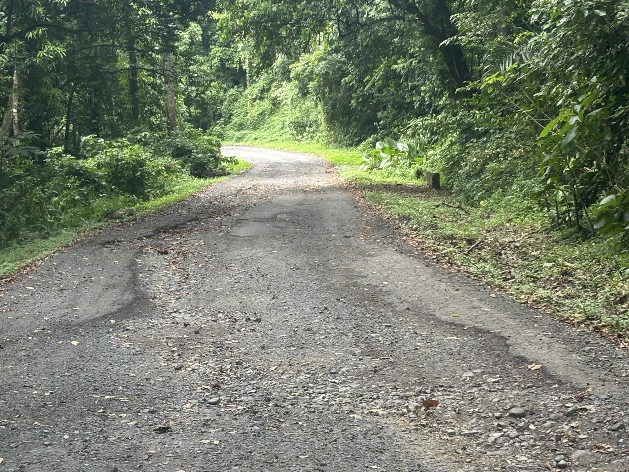 Una Foto habla por sí sola: La PR 186 en Río Grande es un caos – Prensa sin censura
